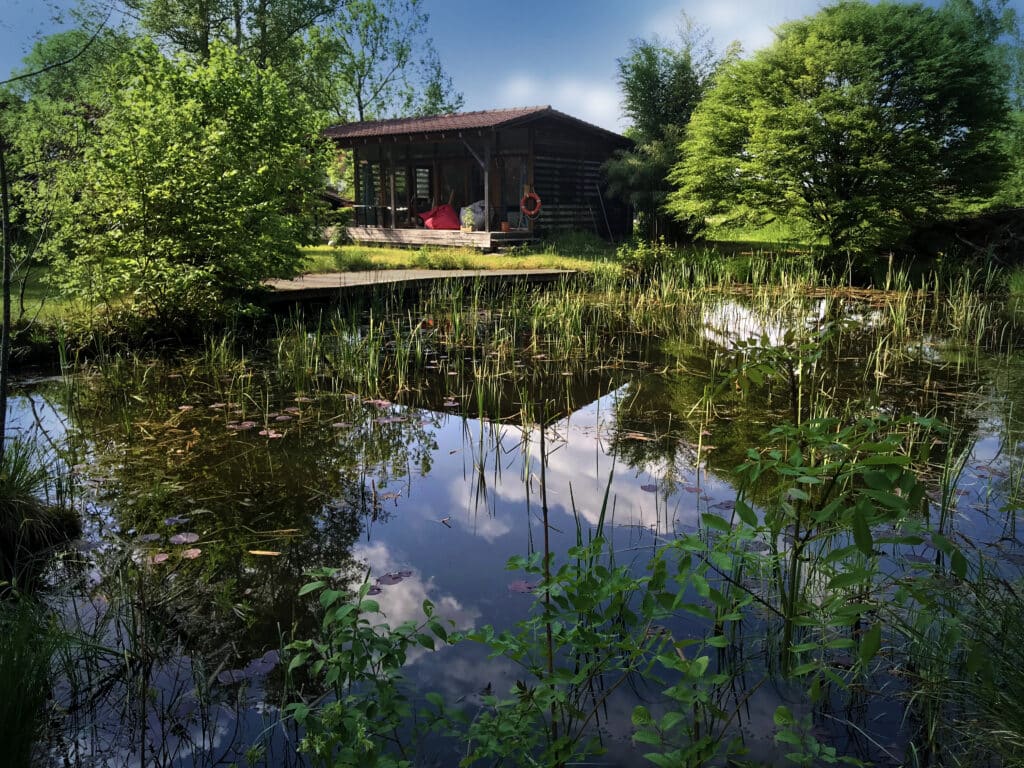 Eine Schöpfungsgeschichte – nächtlich betrachtet - KunstRäume am See